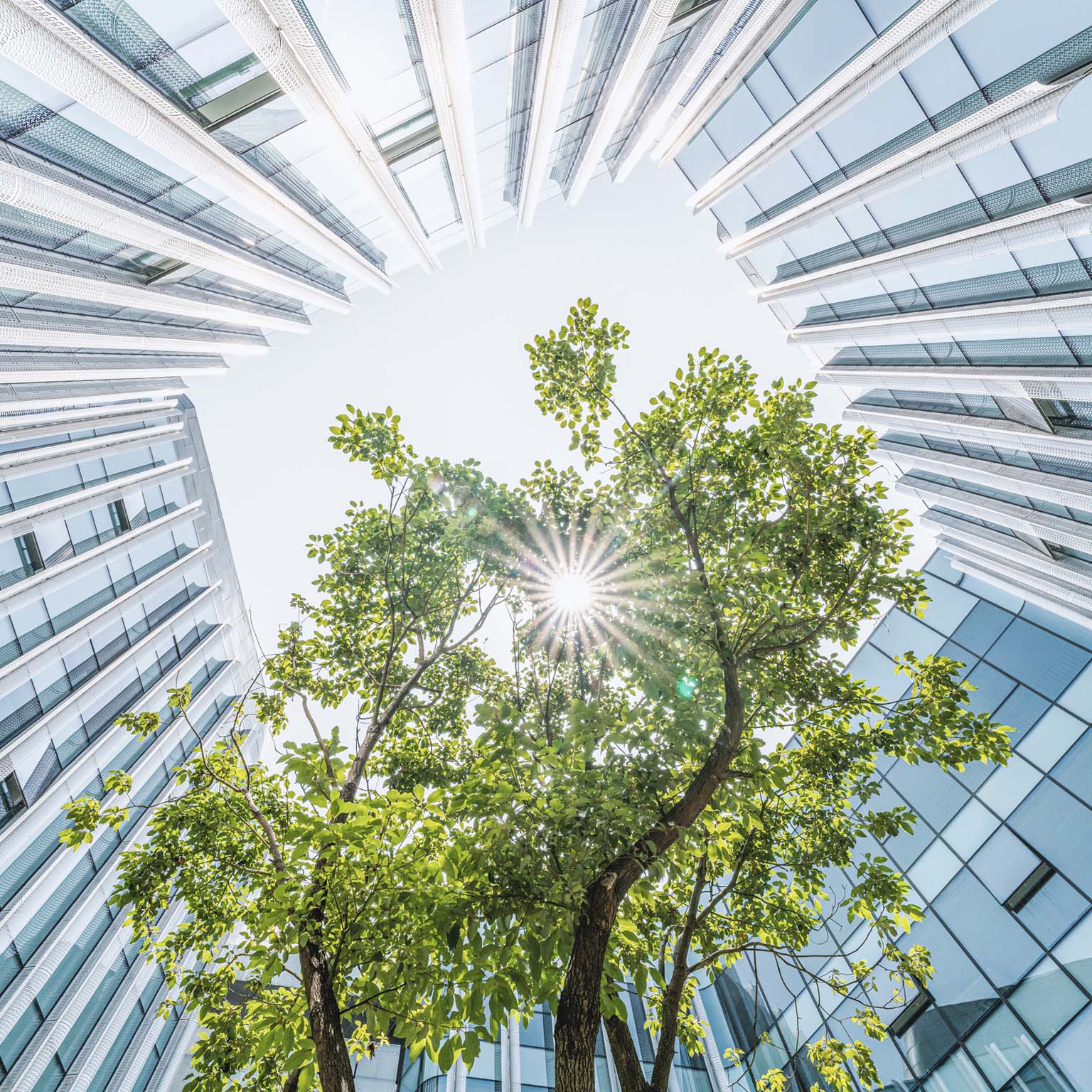 Seizing the decarbonization opportunity in construction | McKinsey